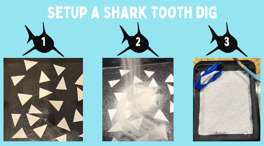 Shark Week: Two Ways to Celebrate • Play and Read Together!